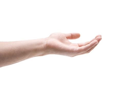 Aufhalten 이미지 – 찾아보기 2,299 스톡 사진, 벡터 및 비디오 | Adobe Stock