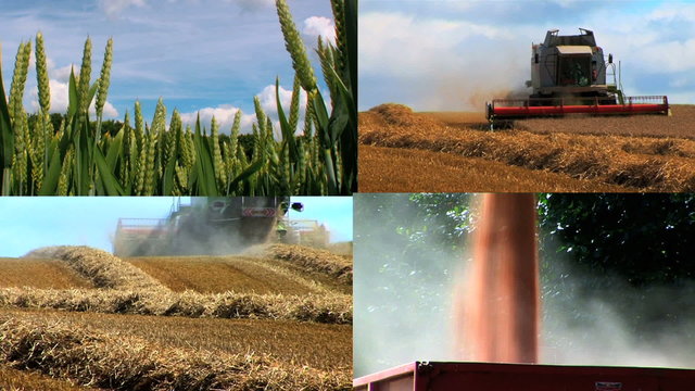 Scheunendrescher-Bilder: Stock-Fotos & -Videos. | Adobe Stock