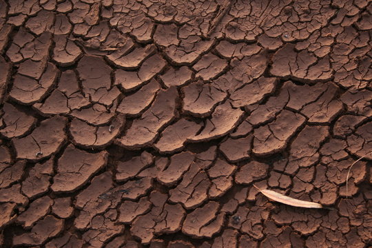 Imágenes de Cuarteado: descubre bancos de fotos, ilustraciones ...