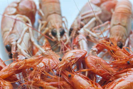 รูปภาพCigala – เลือกดูภาพถ่ายสต็อก เวกเตอร์ และวิดีโอ314 | Adobe Stock