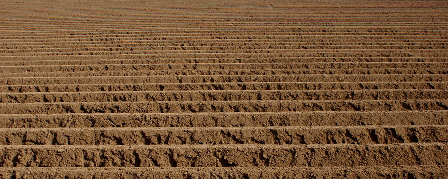 Ackerfurchen bilder – Bläddra bland 396 stockfoton, vektorer och videor ...