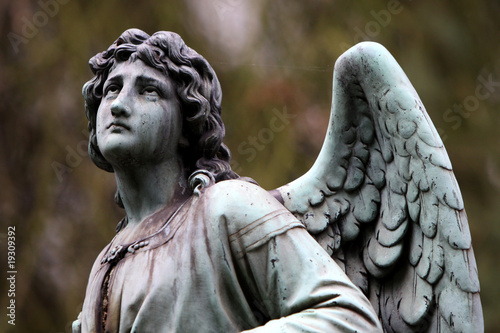 "Engel" Stockfotos und lizenzfreie Bilder auf Fotolia.com - Bild 19309392