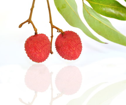 「Letchi」の画像 - 726 件の Stock 写真、ベクターおよびビデオ | Adobe Stock