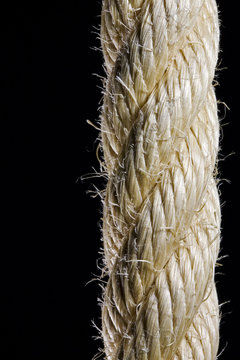 Trosse bilder – Bläddra bland 335 stockfoton, vektorer och videor ...