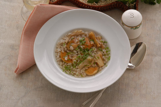 Finferlo bilder – Bläddra bland 123 stockfoton, vektorer och videor ...