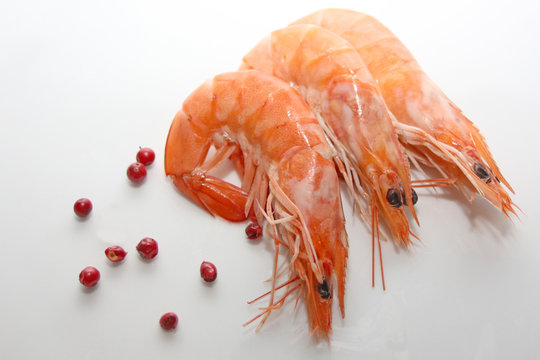 รูปภาพCrevette – เลือกดูภาพถ่ายสต็อก เวกเตอร์ และวิดีโอ878,173 | Adobe ...