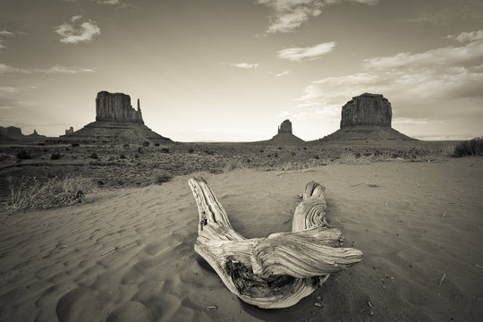 「Arozina」の写真素材 | 4件の無料イラスト画像 | Adobe Stock