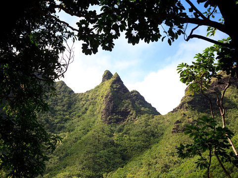 รูปภาพPali – เลือกดูภาพถ่ายสต็อก เวกเตอร์ และวิดีโอ6,873 | Adobe Stock