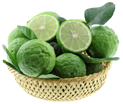 Cumbaba Images – Browse 38 Stock Photos, Vectors, and Video | Adobe Stock