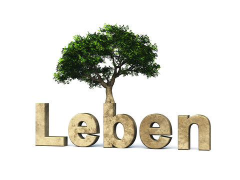 รูปภาพLebens – เลือกดูภาพถ่ายสต็อก เวกเตอร์ และวิดีโอ1,321 | Adobe Stock