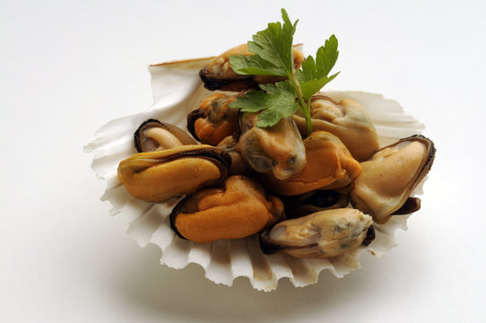 「Pedoci」の画像 - 197 件の Stock 写真、ベクターおよびビデオ | Adobe Stock