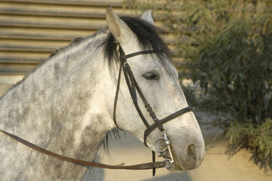 Ronzal Images – Browse 9 Stock Photos, Vectors, and Video | Adobe Stock