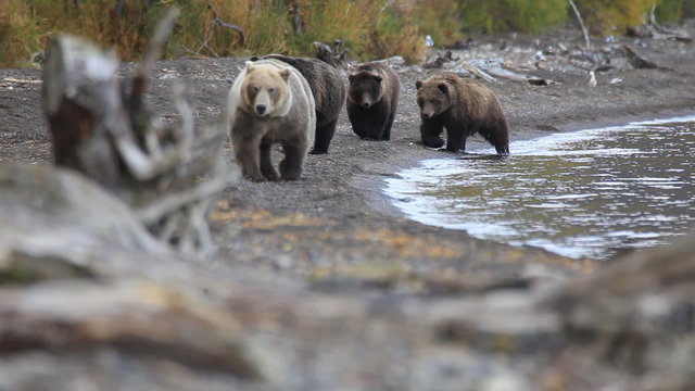 Diskovery Images – Browse 238 Stock Photos, Vectors, and Video | Adobe ...