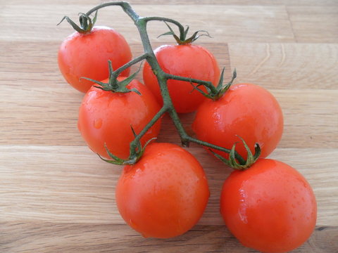 Strauchtomate Images – Parcourir 1,450 le catalogue de photos, vecteurs ...