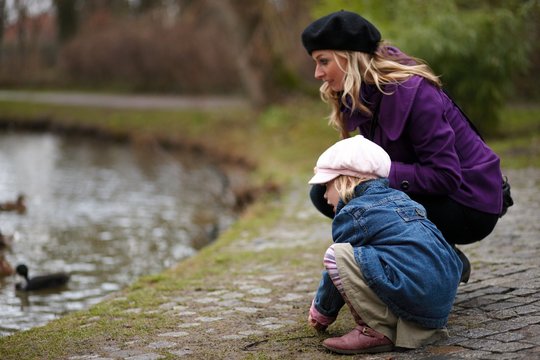 Enten bilder – Bläddra bland 15,863 stockfoton, vektorer och videor ...