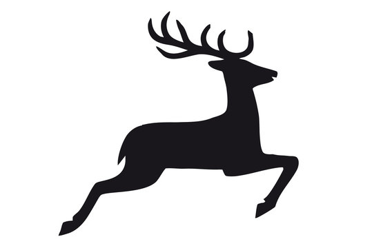 รูปภาพHirsch – เลือกดูภาพถ่ายสต็อก เวกเตอร์ และวิดีโอ43,478 | Adobe Stock