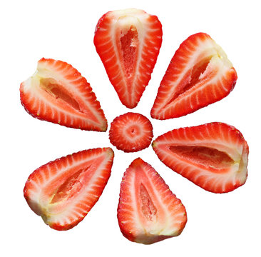 Halp Images – Browse 484 Stock Photos, Vectors, and Video | Adobe Stock