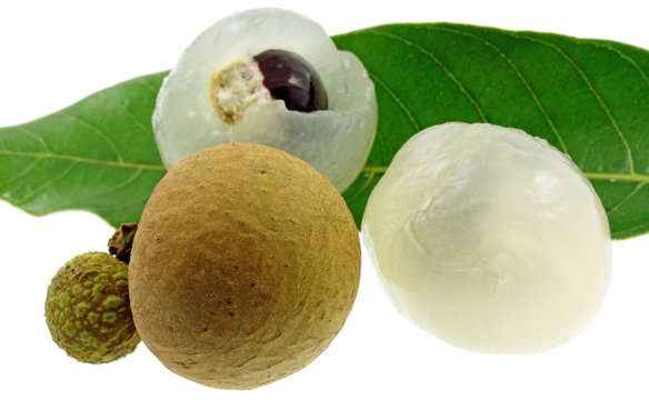 รูปภาพLongani – เลือกดูภาพถ่ายสต็อก เวกเตอร์ และวิดีโอ68 | Adobe Stock