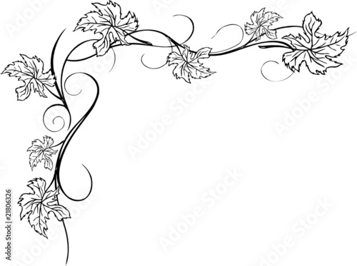 "Wein, Weinrebe, Ranke, Weinblätter, Blätter, filigran" Stockfotos und ...