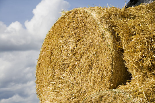 「Heurolle」の画像 - 192 件の Stock 写真、ベクターおよびビデオ | Adobe Stock