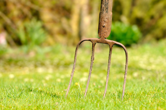 Forken Images – Browse 18 Stock Photos, Vectors, and Video | Adobe Stock