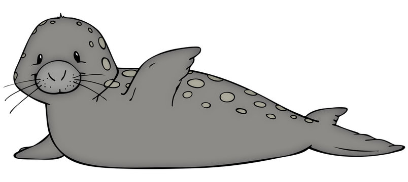 Seehund bilder – Bläddra bland 3,944 stockfoton, vektorer och videor ...