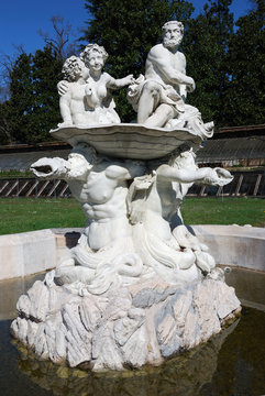 62 BEST Puttino IMAGES, STOCK PHOTOS & VECTORS | Adobe Stock