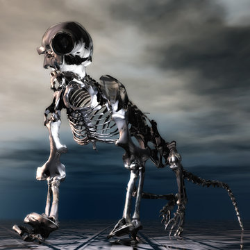 Gerippe 이미지 – 찾아보기 1,235 스톡 사진, 벡터 및 비디오 | Adobe Stock