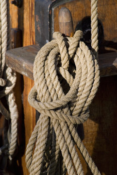 Takeling Images – Browse 5 Stock Photos, Vectors, and Video | Adobe Stock