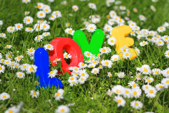 Versalie Images – Browse 51 Stock Photos, Vectors, and Video | Adobe Stock