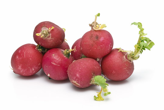 Nabos Images – Browse 55 Stock Photos, Vectors, and Video | Adobe Stock