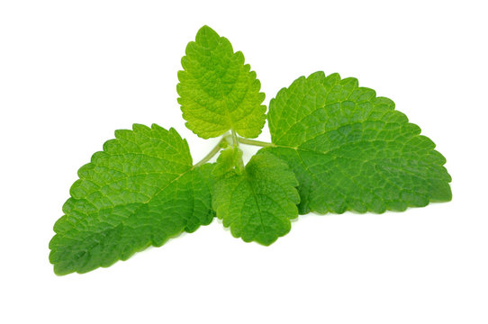 รูปภาพMinzen – เลือกดูภาพถ่ายสต็อก เวกเตอร์ และวิดีโอ1,347 | Adobe Stock