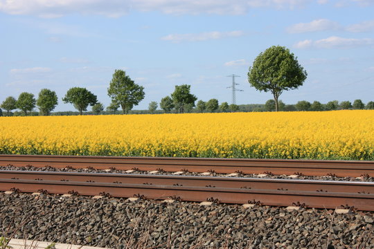 Bahnschienen bilder – Bläddra bland 1,615 stockfoton, vektorer och ...