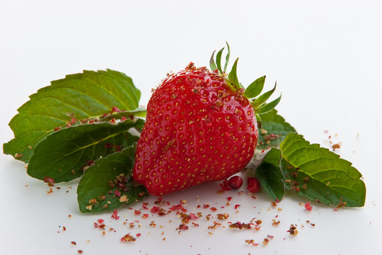 รูปภาพMinzblatt – เลือกดูภาพถ่ายสต็อก เวกเตอร์ และวิดีโอ990 | Adobe Stock