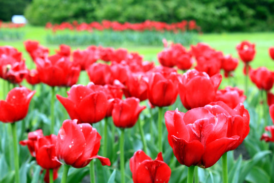 รูปภาพFrueh – เลือกดูภาพถ่ายสต็อก เวกเตอร์ และวิดีโอ647 | Adobe Stock