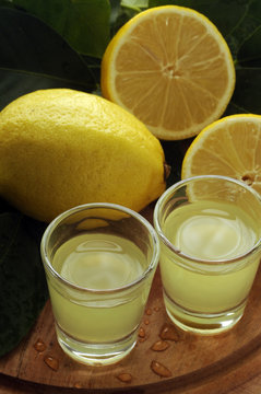 Limonate Imagens – Procure 43 fotos, vetores e vídeos | Adobe Stock