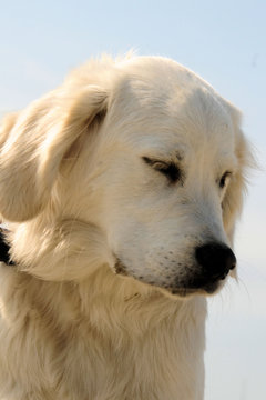 Riever Bilder – Durchsuchen 57 Archivfotos, Vektorgrafiken und Videos ...