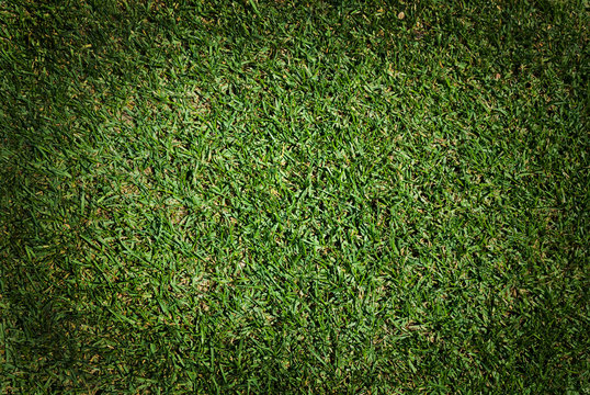 Repeating Grass Texture Images – Browse 18,331 Stock Photos, Vectors ...