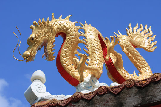 รูปภาพGragon – เลือกดูภาพถ่ายสต็อก เวกเตอร์ และวิดีโอ248 | Adobe Stock