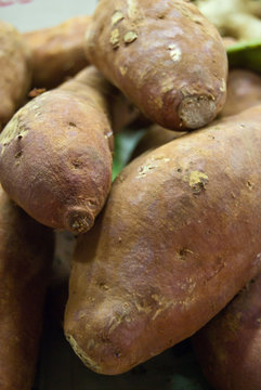 รูปภาพTubero – เลือกดูภาพถ่ายสต็อก เวกเตอร์ และวิดีโอ1,288 | Adobe Stock