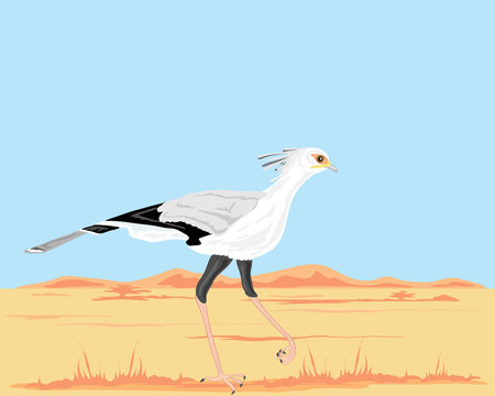 "Secretary Bird" Images – Browse 4,025 Stock Photos, Vectors, and Video ...