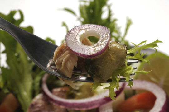 「Pedoci」の画像 - 197 件の Stock 写真、ベクターおよびビデオ | Adobe Stock