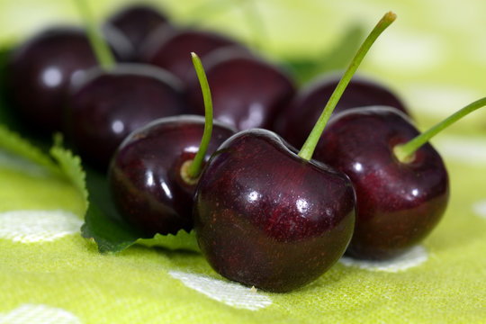 Kirsch Images – Parcourir 15,325 le catalogue de photos, vecteurs et ...