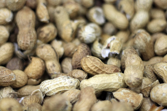 「Cacahouette」の写真素材 | 76件の無料イラスト画像 | Adobe Stock