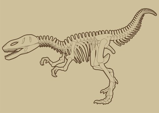 Dinosaur Skeleton Drawing Images – Browse 6,322 Stock Photos, Vectors ...