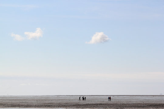 รูปภาพMudflat – เลือกดูภาพถ่ายสต็อก เวกเตอร์ และวิดีโอ61,435 | Adobe Stock