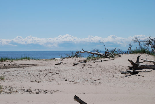 Kolka Images – Browse 29,837 Stock Photos, Vectors, and Video | Adobe Stock