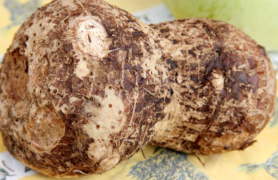 Macabo Images – Parcourir 622 le catalogue de photos, vecteurs et ...