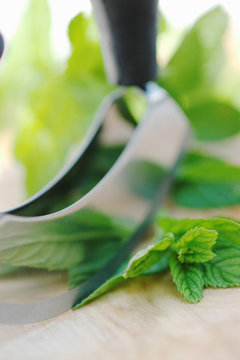 Ciseler Bilder – Durchsuchen 214 Archivfotos, Vektorgrafiken und Videos ...