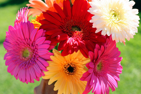 "Bouquet De Fleurs" Images – Browse 2,851 Stock Photos, Vectors, and Video | Adobe Stock